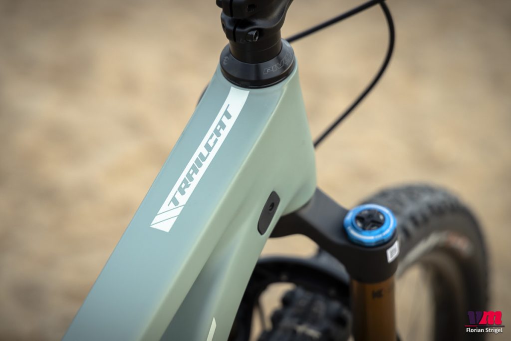 Short test Pivot Trailcat LT & SL – Trail cat in a double pack - Velomotion