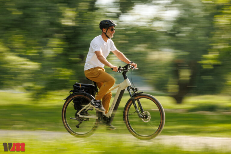 Bulls Iconic EVO 1 – velomotion.de