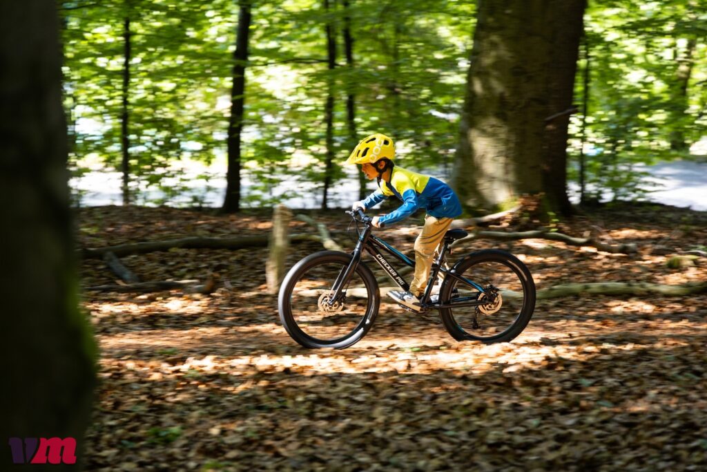 Checker Pig Little Pig Disc im Test – velomotion.de