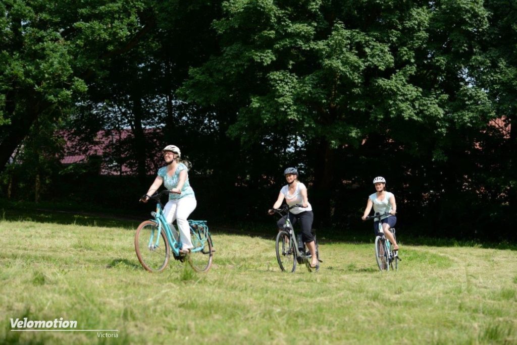 Victoria E-Bikes 2017: Over 40 models for trekking, city and urban ...