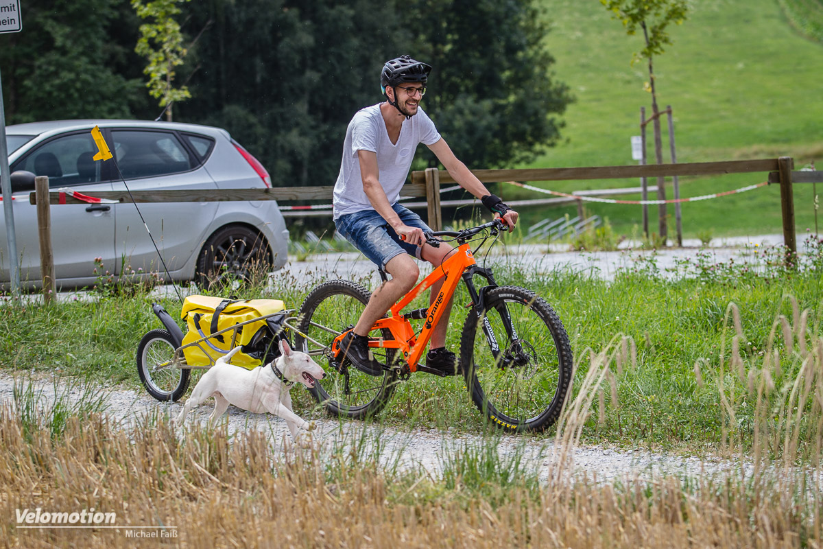Test: Bob Ibex transport trailer - the companion for your next bike ...