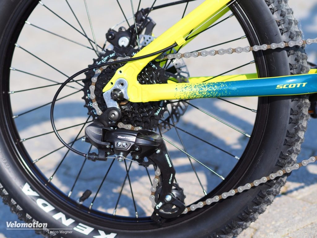 Test: Scott Roxter 20 - mountain bike in mini format - Velomotion