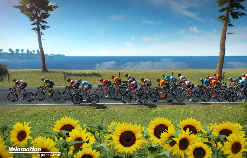 Tour De France Gewinnspiel