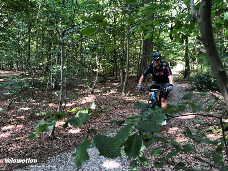 Alpina Rootage Helmet Helmet Test and Sweepstakes - Velomotion