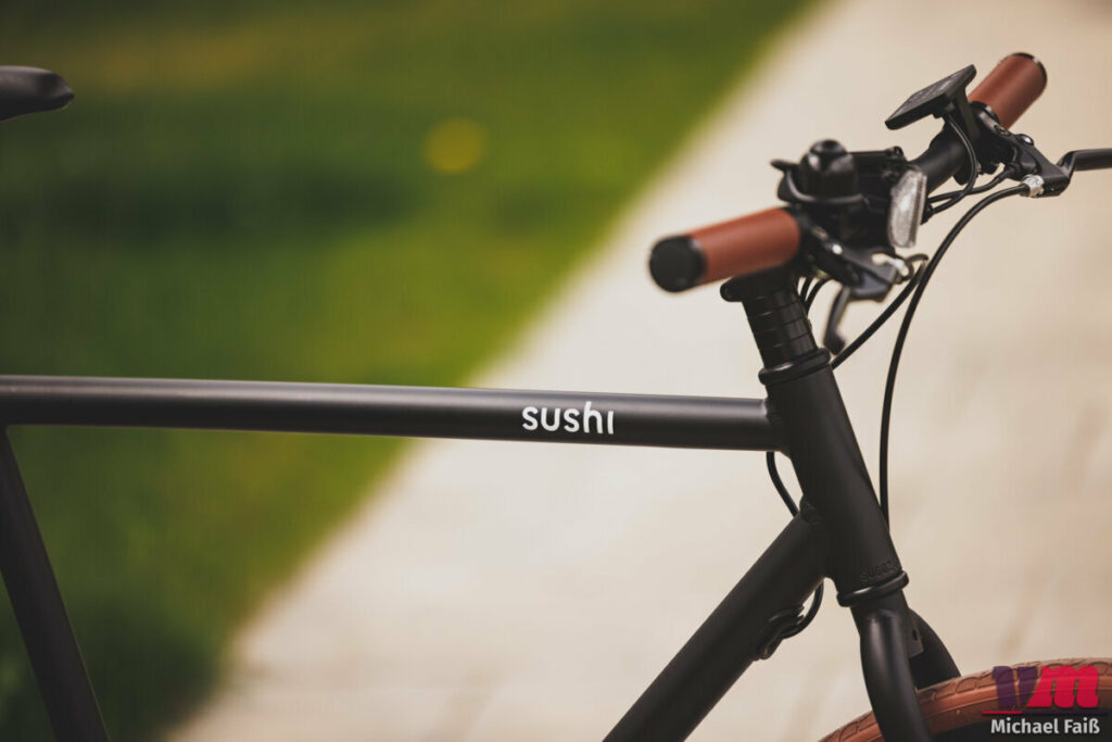 Sushi Maki MK2 in the test E-Bike under 1.000 Euro - is that even ...