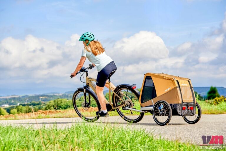 Croozer Dog Enna Dog Trailer Test – Velomotion.de