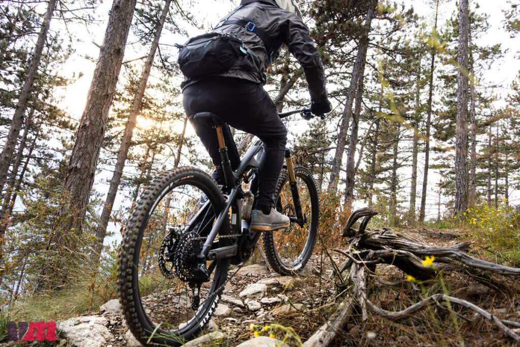 Radon Render 10.0 750 HD in the test Price hit with a wide range of ...